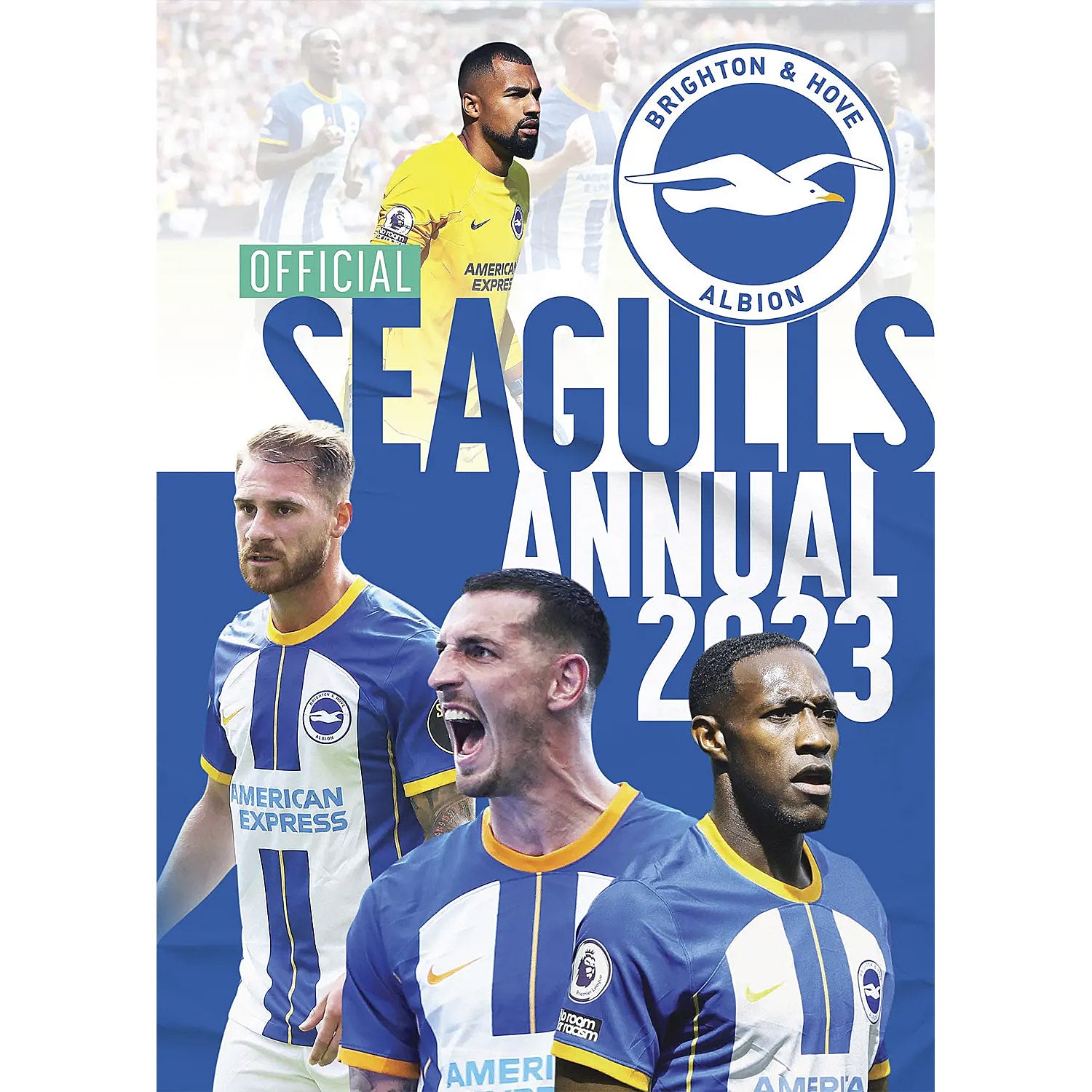 The Official Seagulls Annual 2023 – Brighton & Hove Albion | Soccer ...